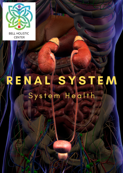 Complete Body system — Bell Holistic Center Inc.