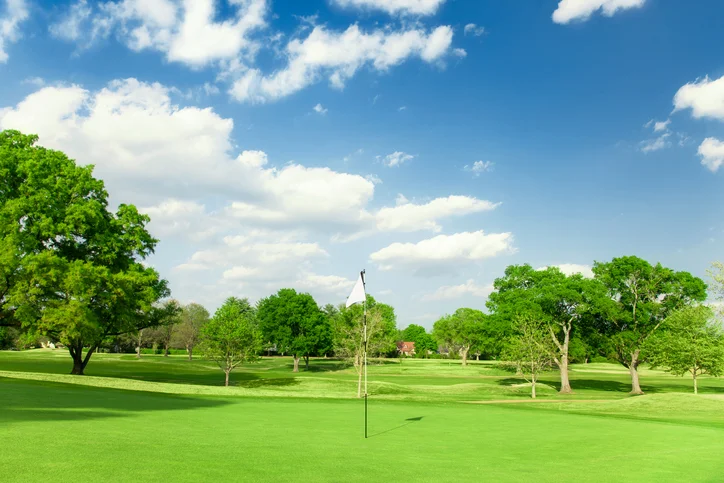 Moreno & Associates, Inc.