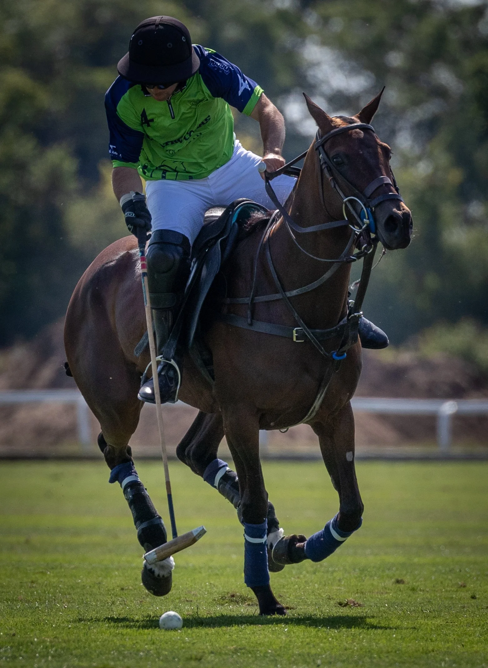 Gallery — Royal County of Berkshire Polo Club