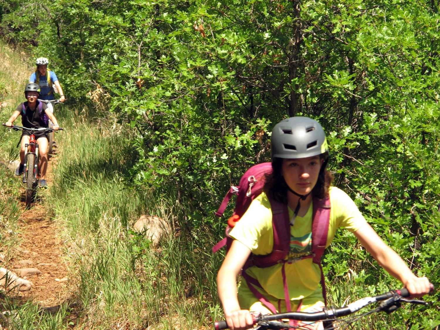 Colvig Silver Camps — Occupation Wild