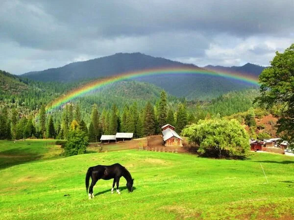 Bar 717 Ranch/Camp Trinity — Occupation Wild