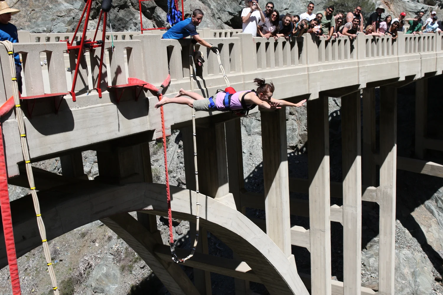 Bungee America — Occupation Wild