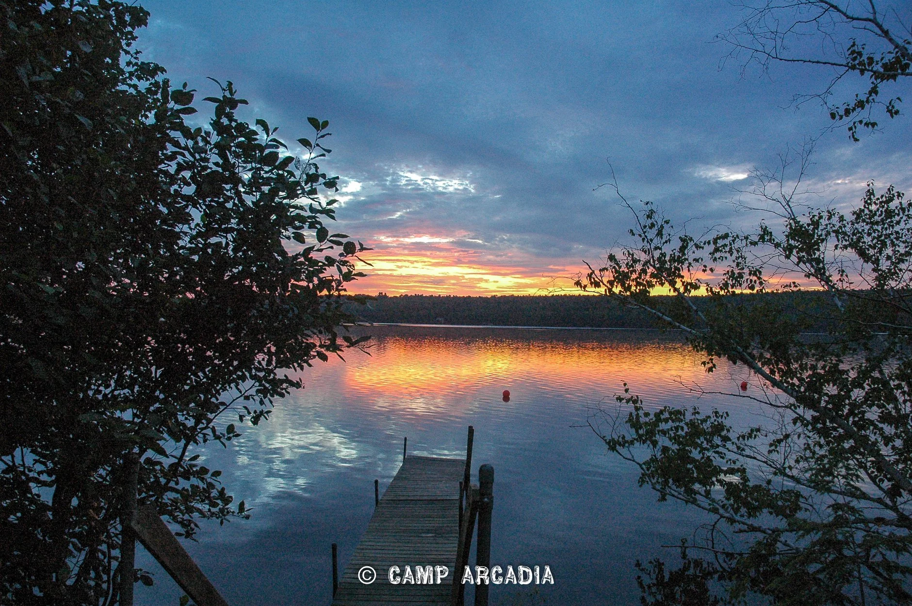 Camp Arcadia — Occupation Wild