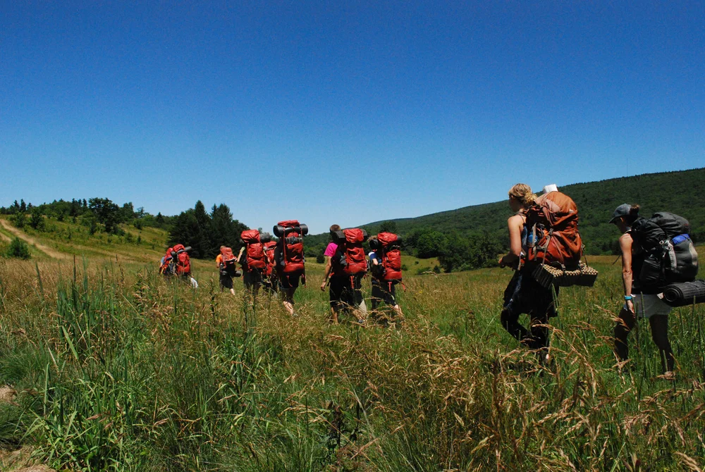 Experience Learning — Occupation Wild