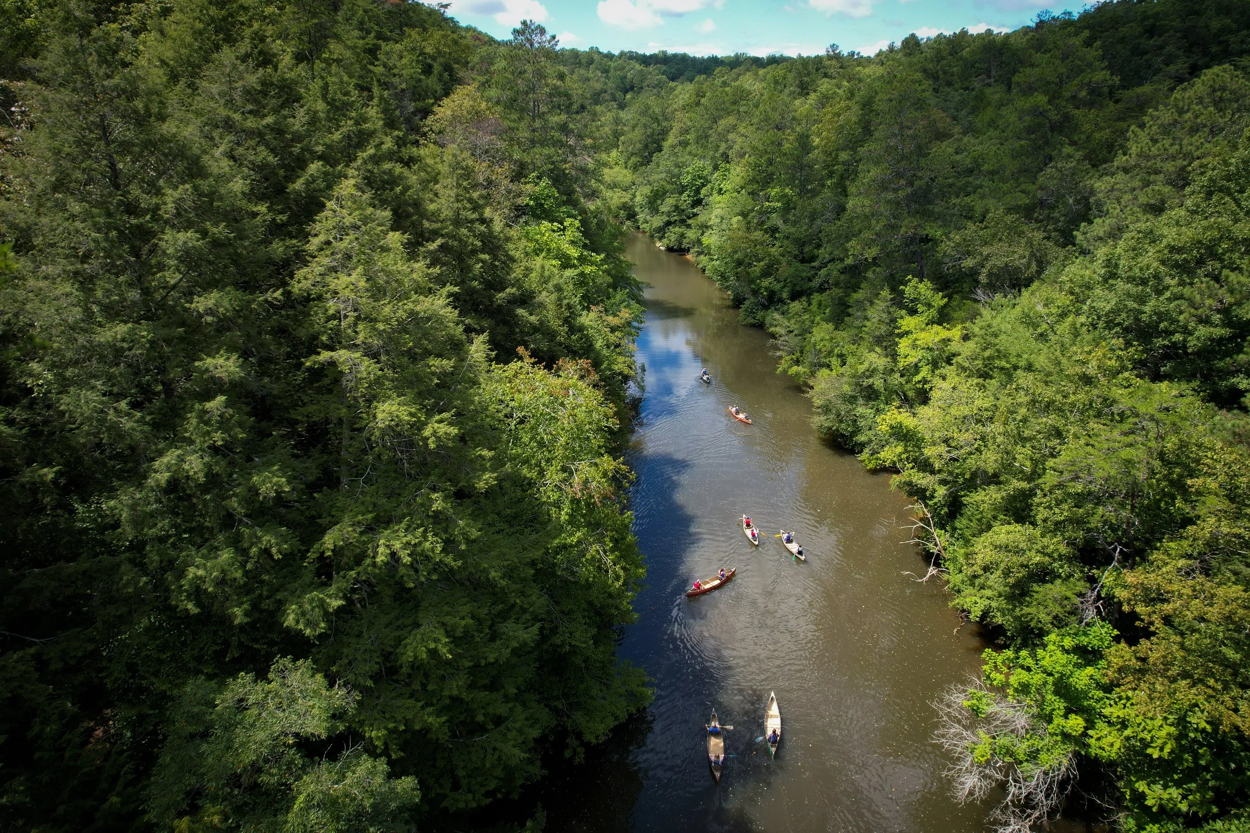 All Jobs — Occupation Wild