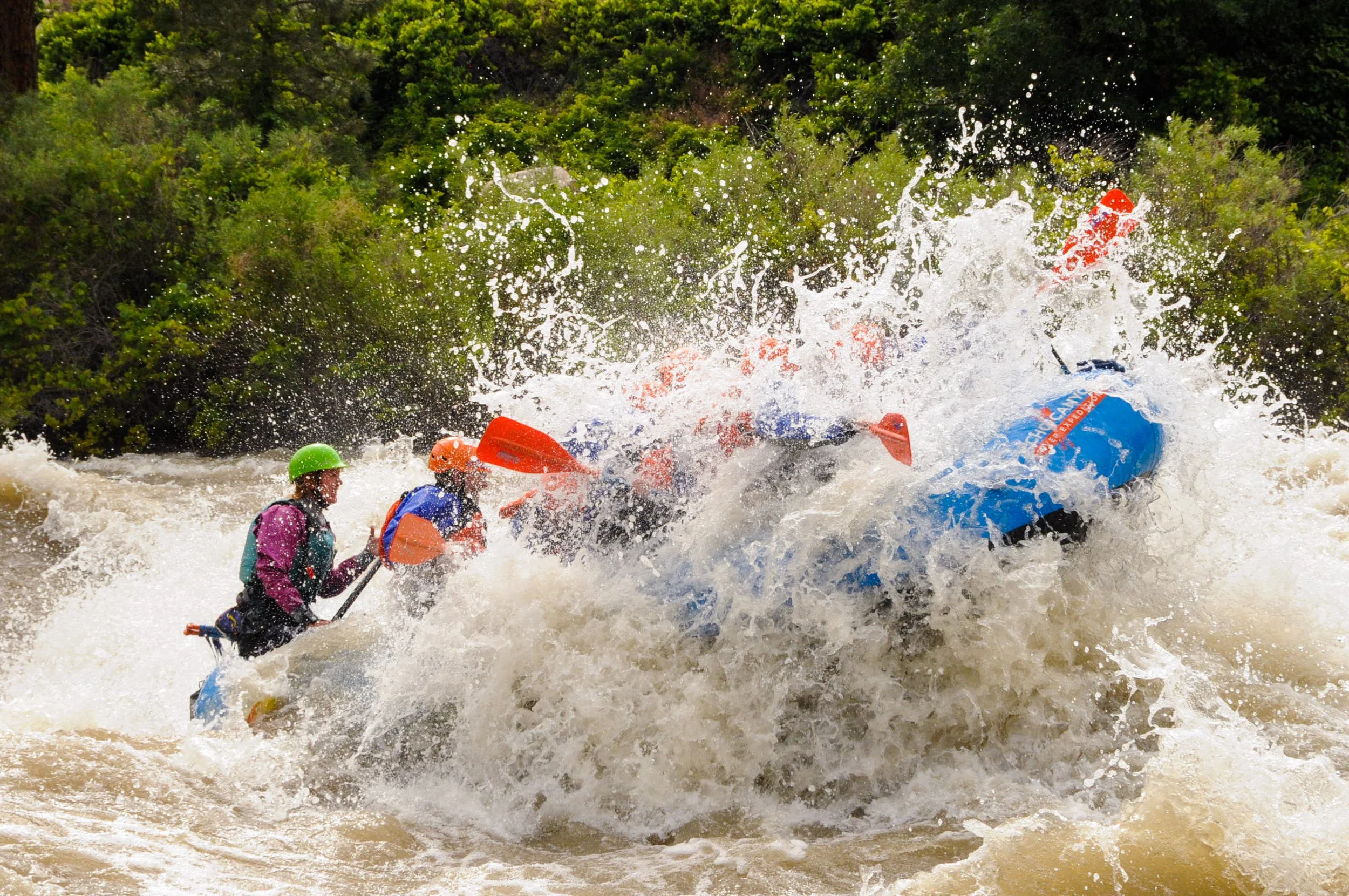 All Jobs — Occupation Wild