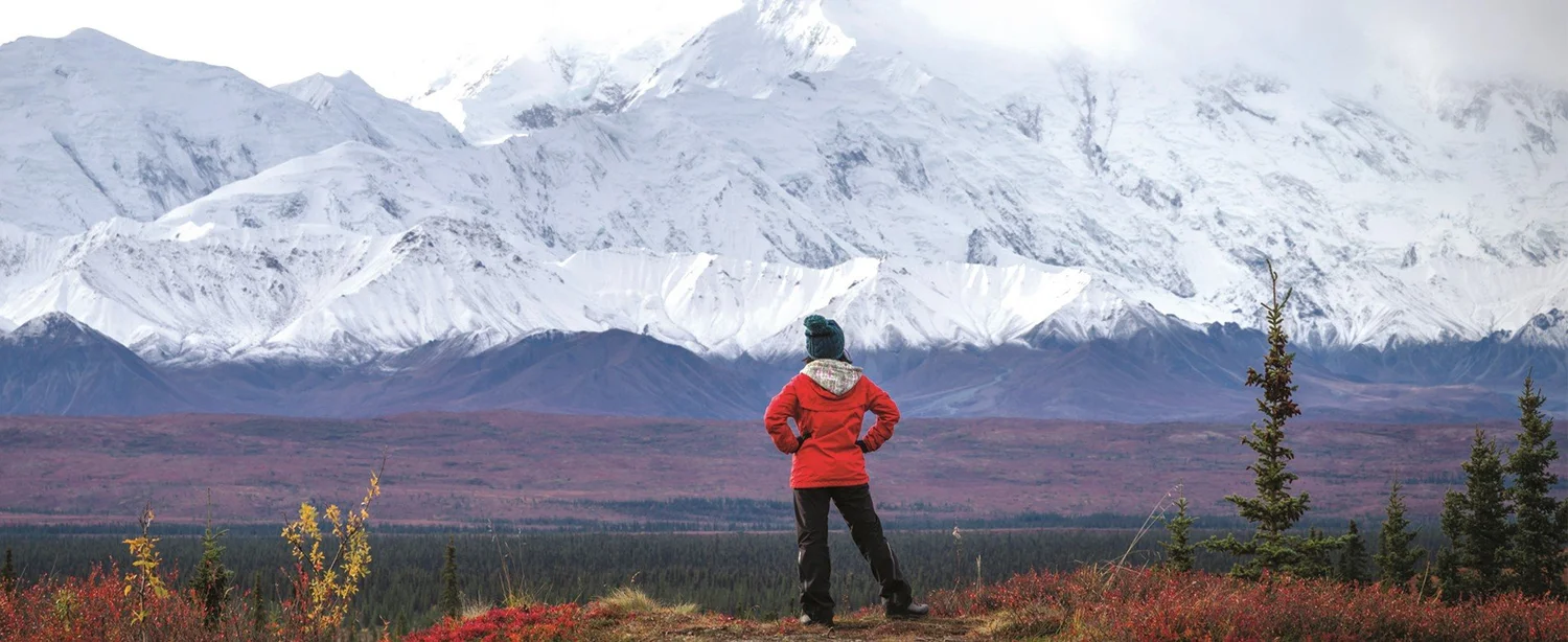 All Jobs — Occupation Wild