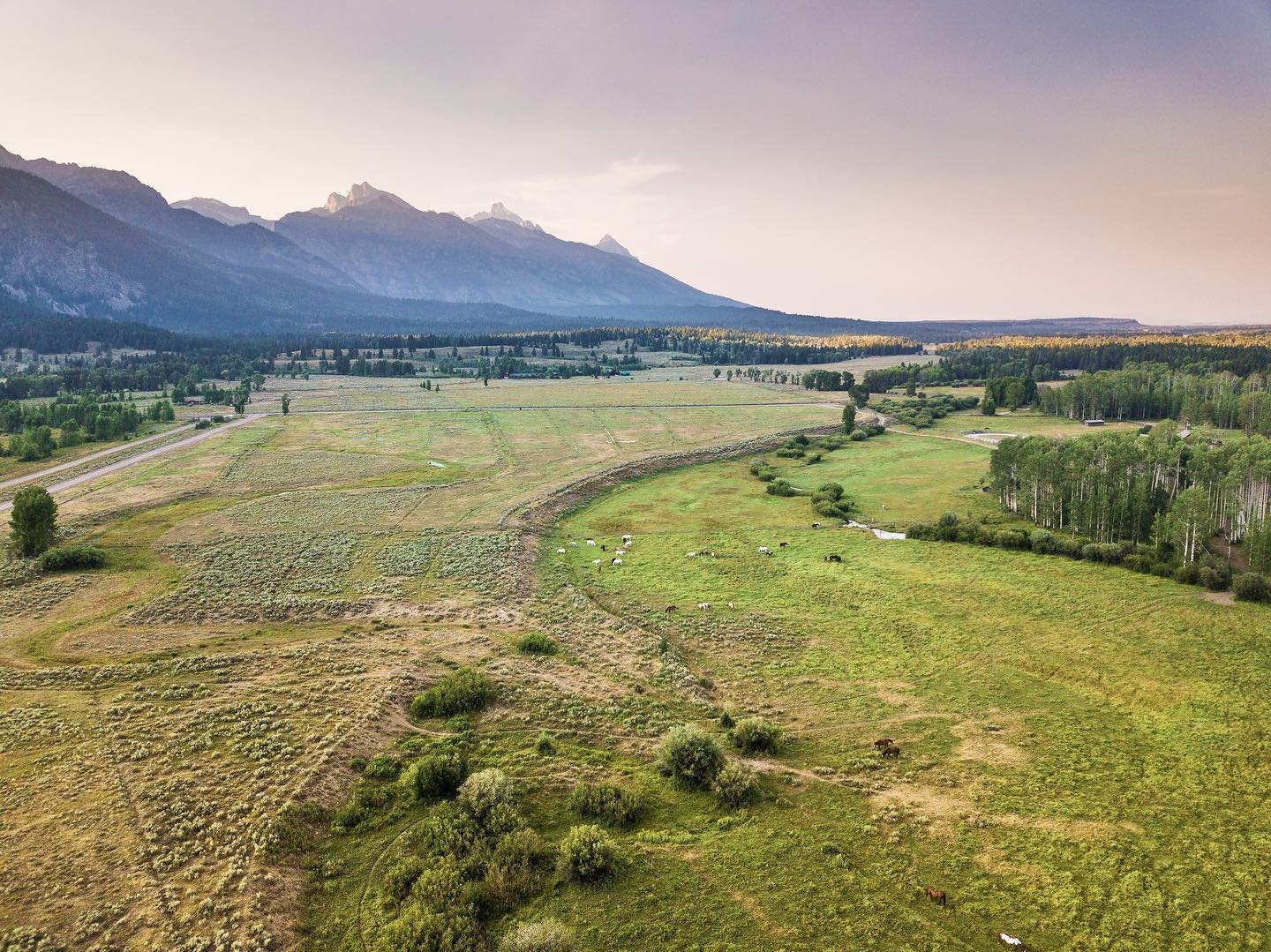 All Jobs — Occupation Wild