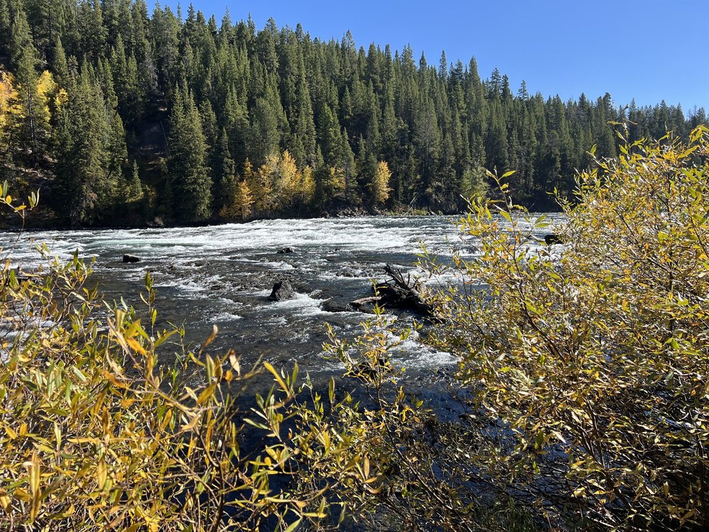 Occupation Wild : Job Board for the Outdoor, Adventure and Travel Industry