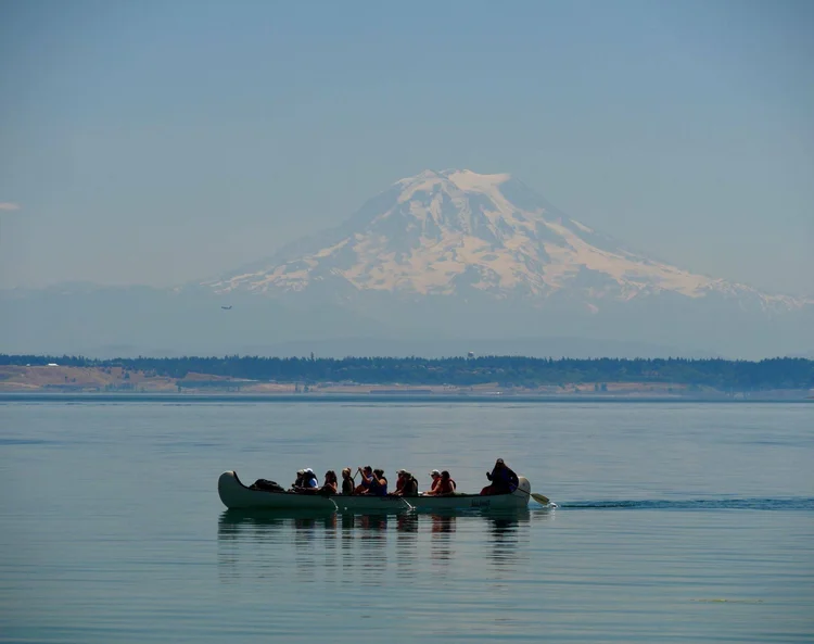 Camp Gallagher — Occupation Wild