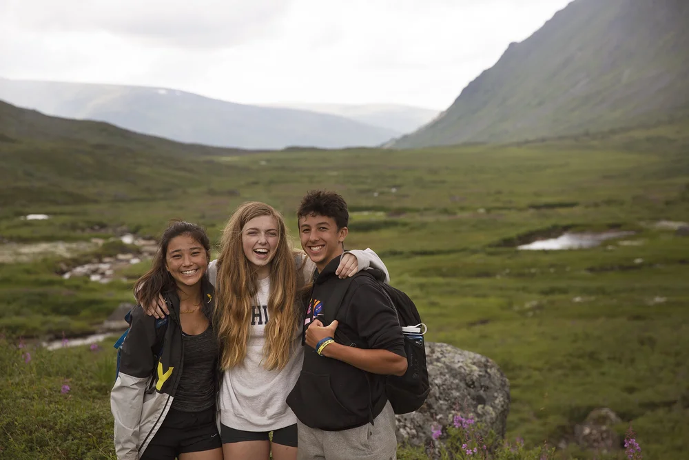 Overland — Occupation Wild