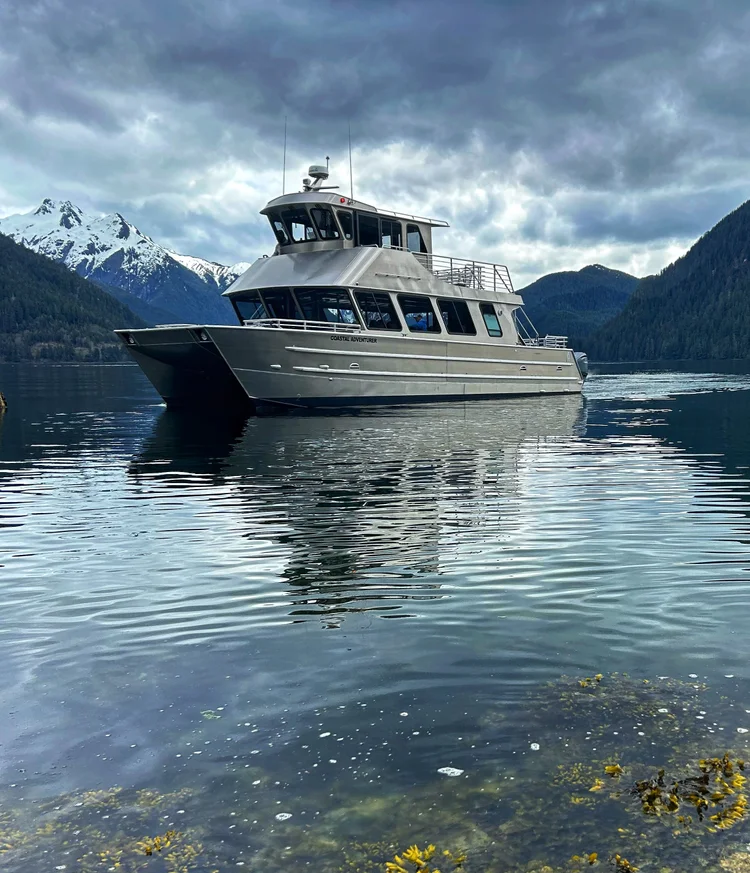 All Jobs — Occupation Wild