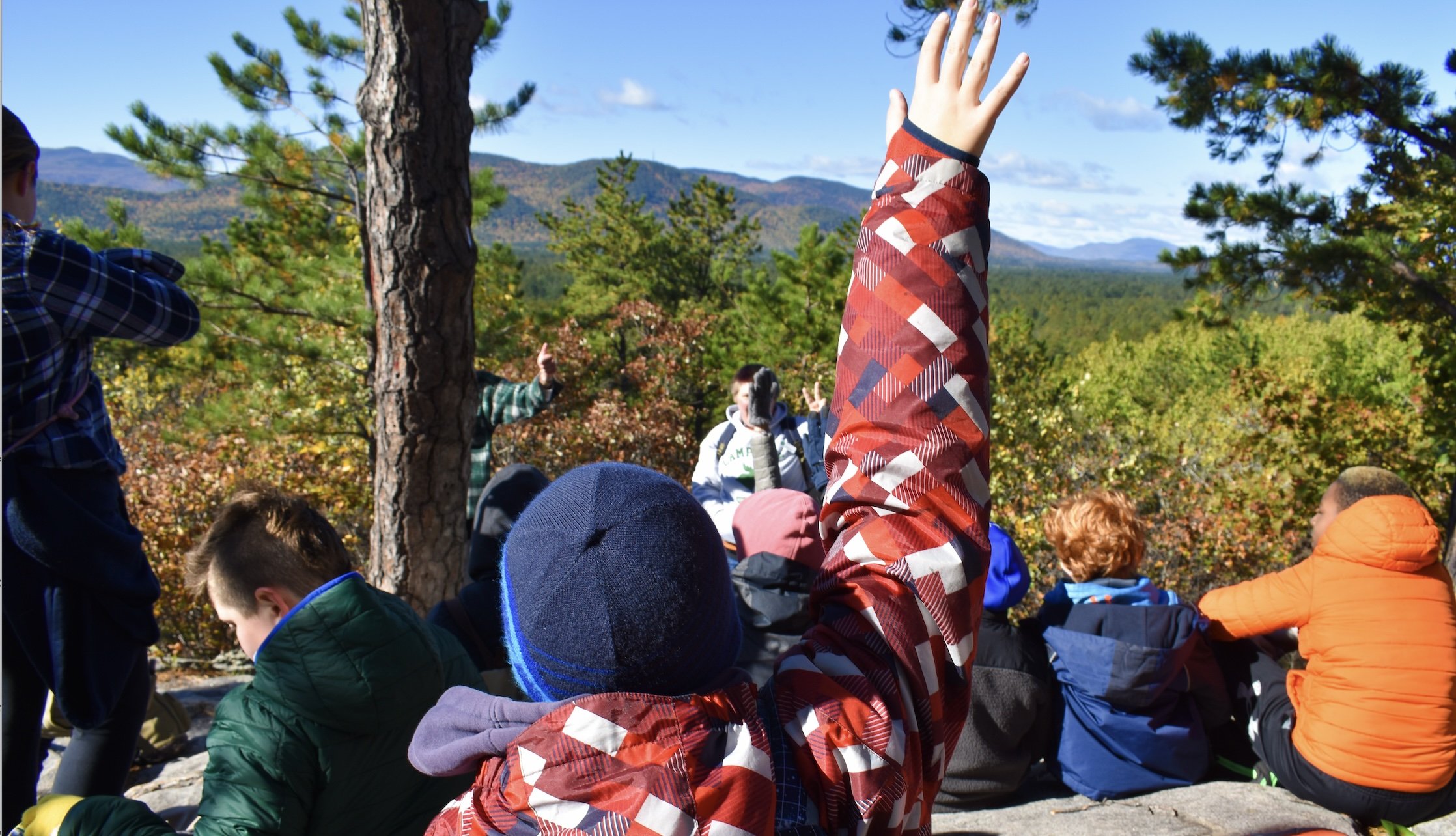 All Jobs — Occupation Wild