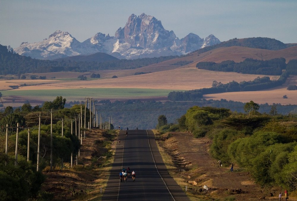 All Jobs — Occupation Wild