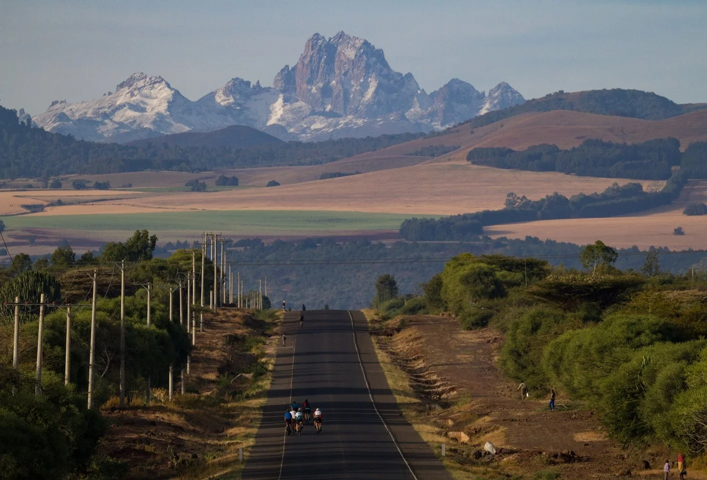 All Jobs — Occupation Wild