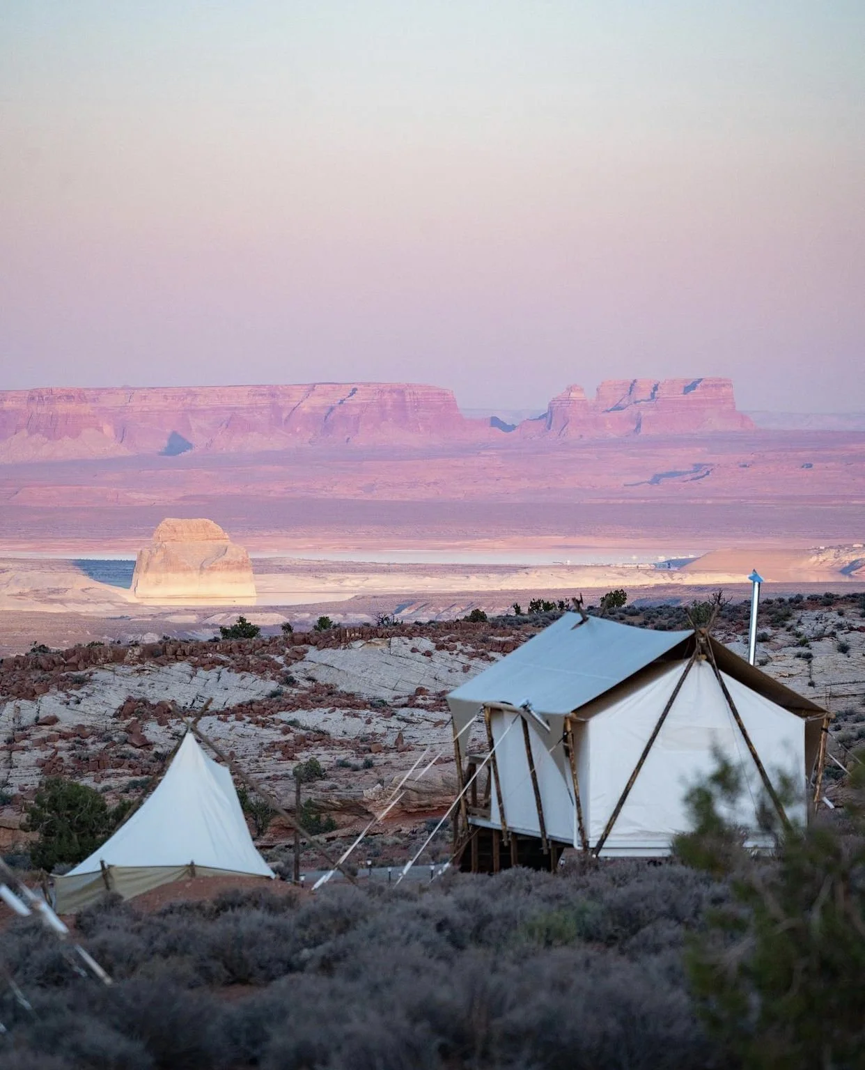 All Jobs — Occupation Wild