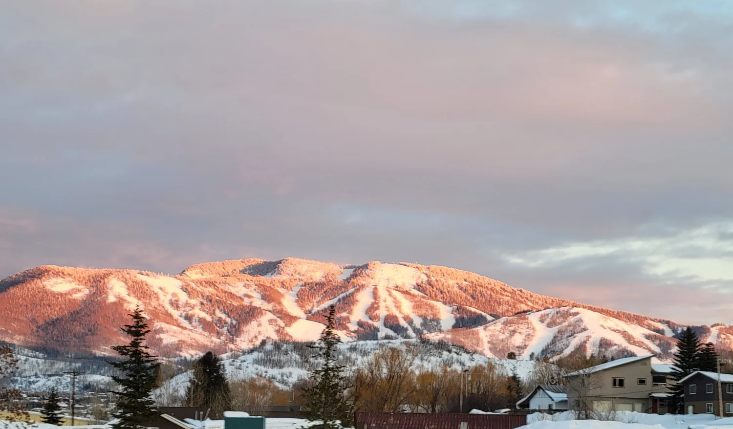 All Jobs — Occupation Wild