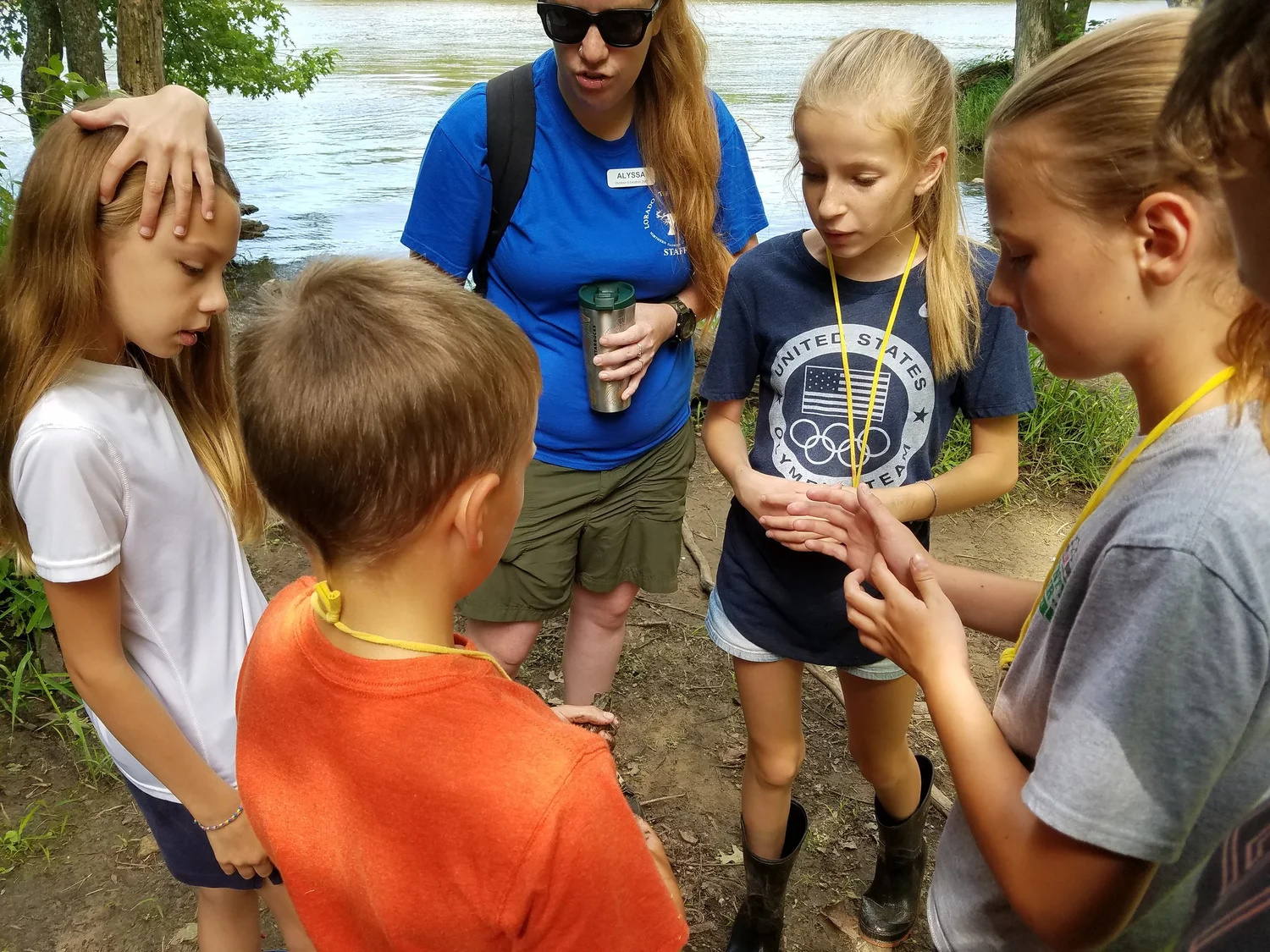 All Jobs — Occupation Wild