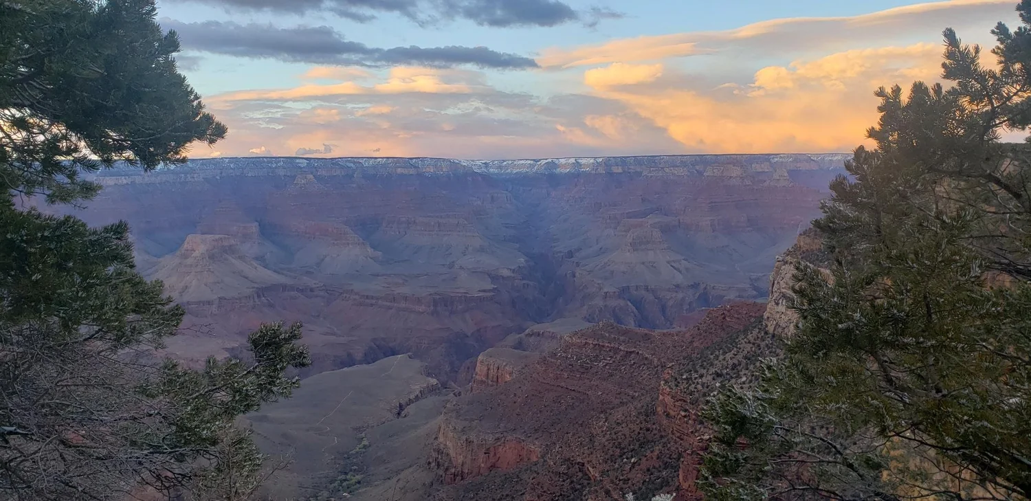 All Jobs — Occupation Wild