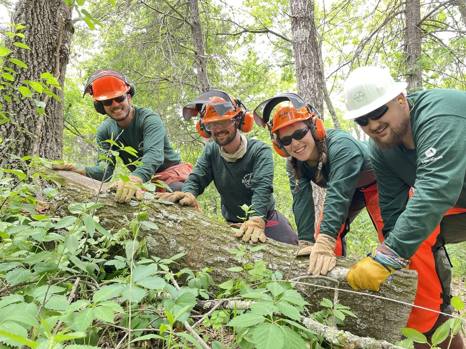 All Jobs — Occupation Wild