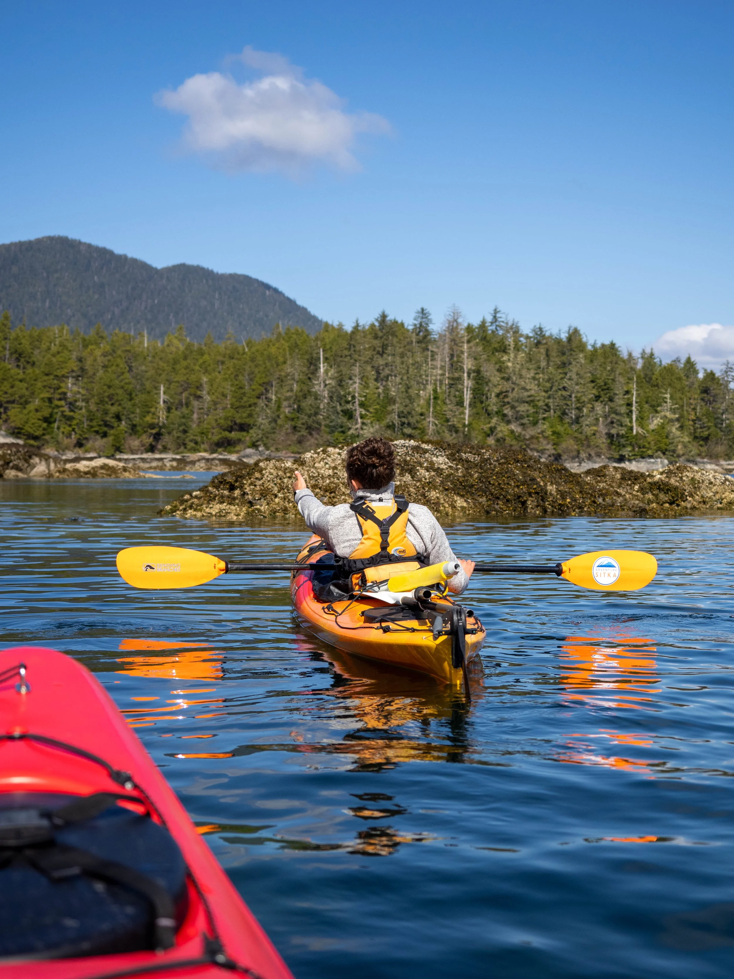 Adventure Sitka — Occupation Wild