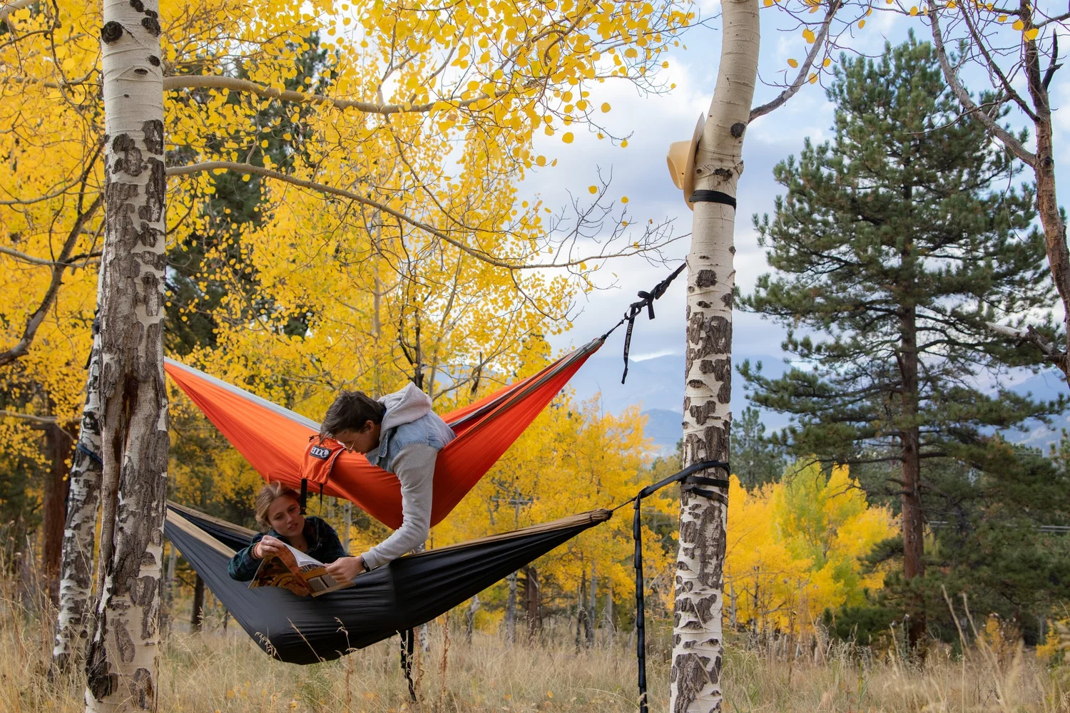 Occupation Wild : Job Board for the Outdoor, Adventure and Travel Industry