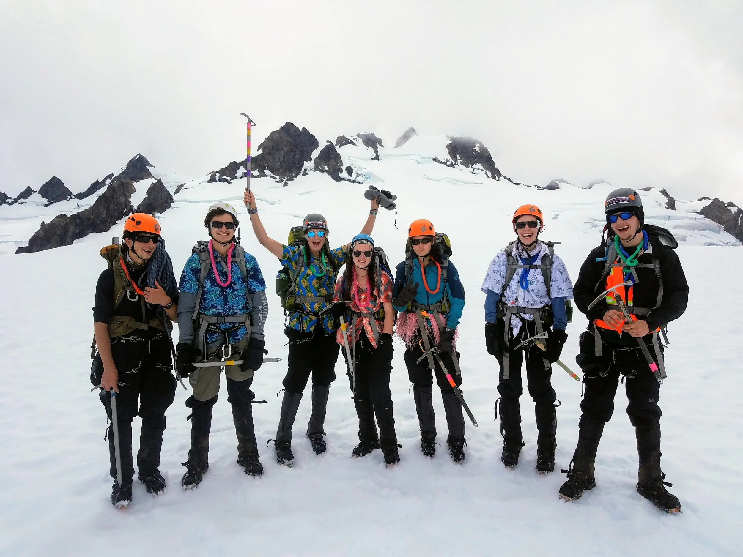 All Jobs — Occupation Wild