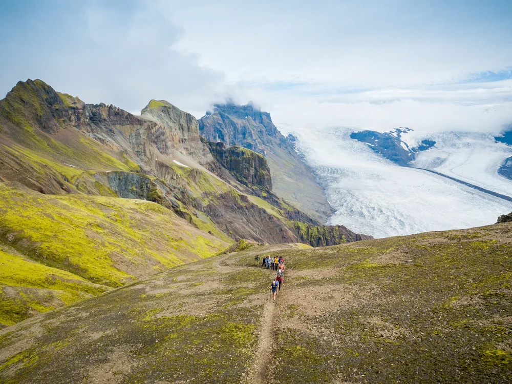 All Jobs — Occupation Wild