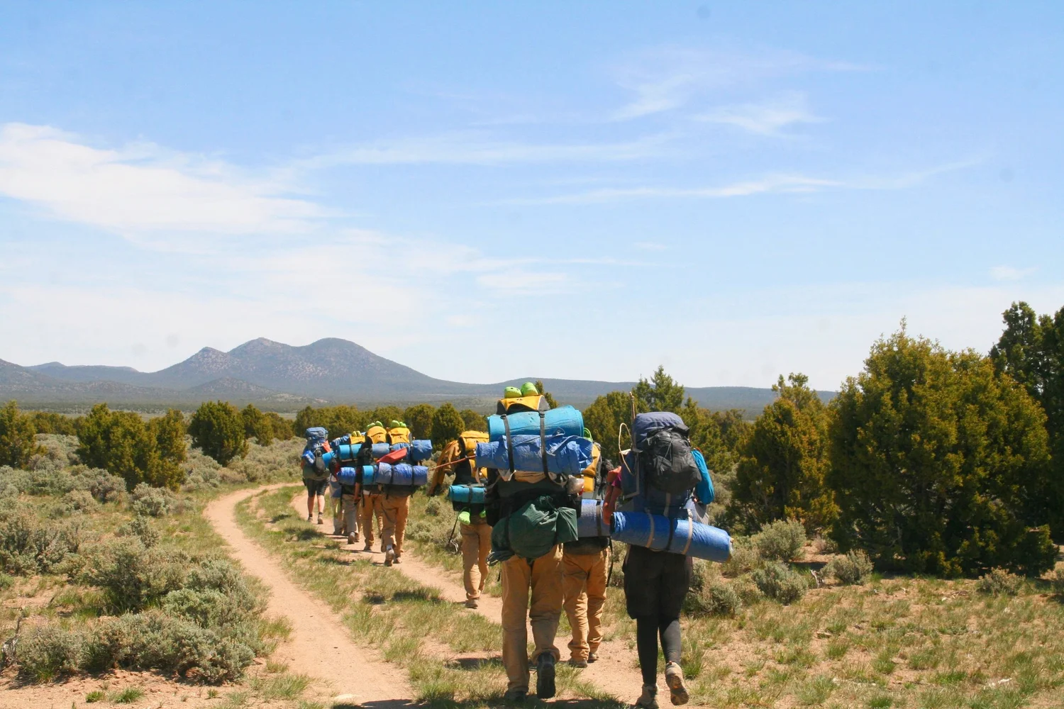 All Jobs — Occupation Wild