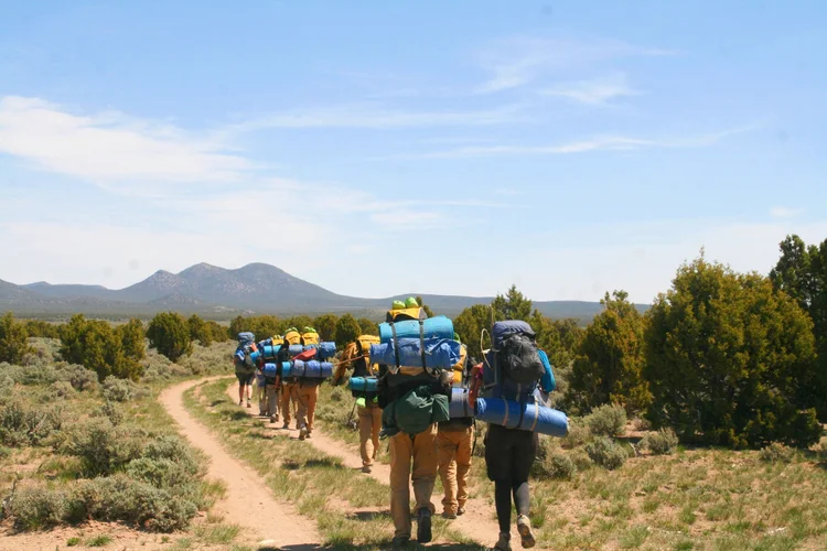 All Jobs — Occupation Wild