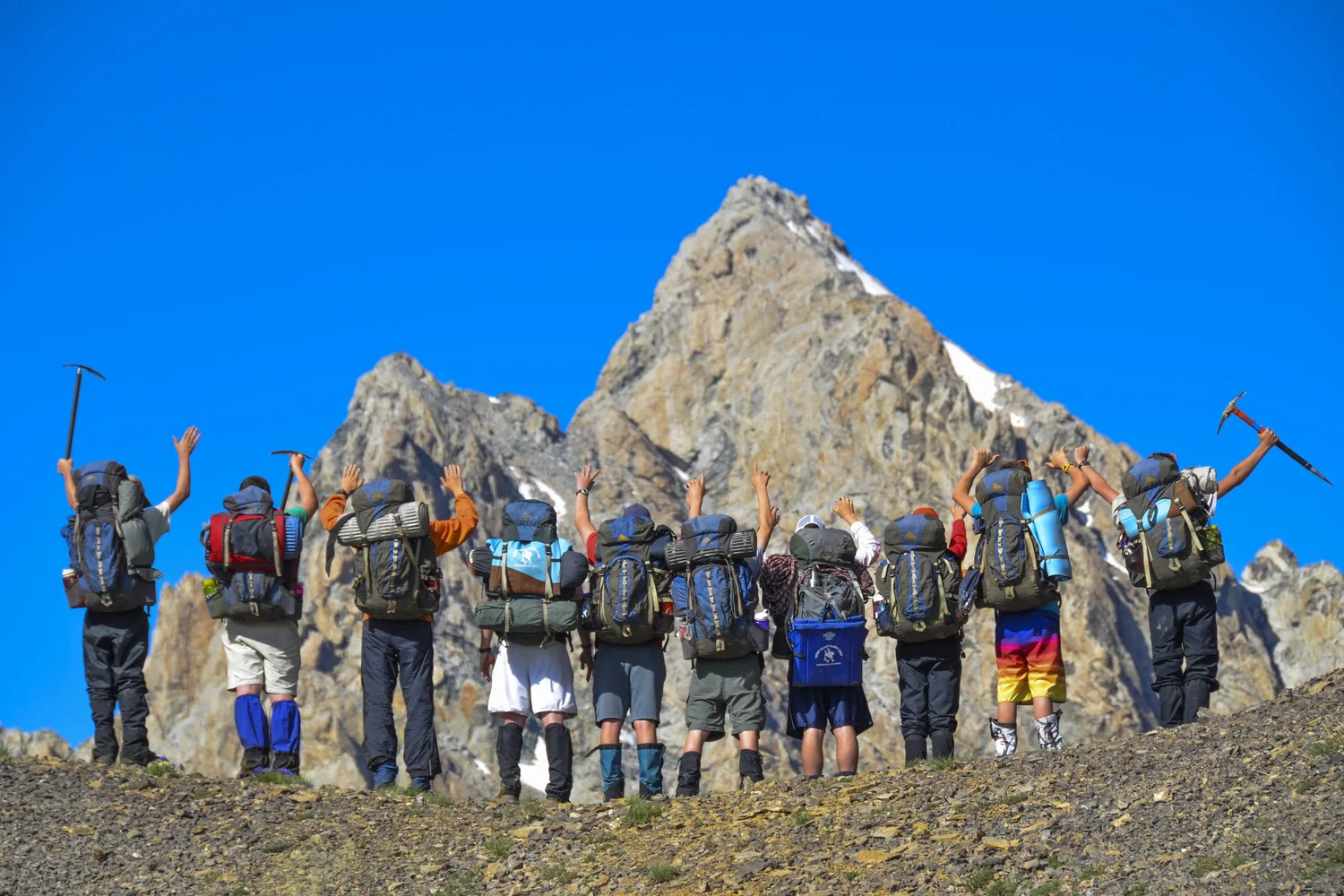 All Jobs — Occupation Wild