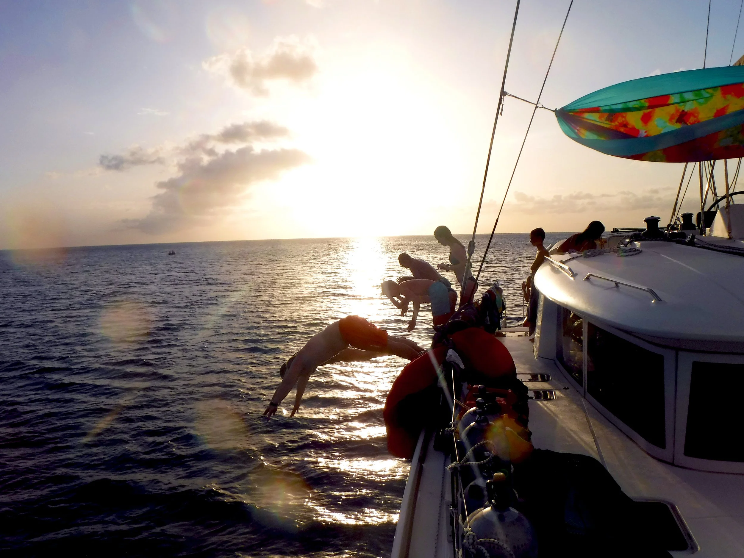 Occupation Wild : Job Board for the Outdoor, Adventure and Travel Industry