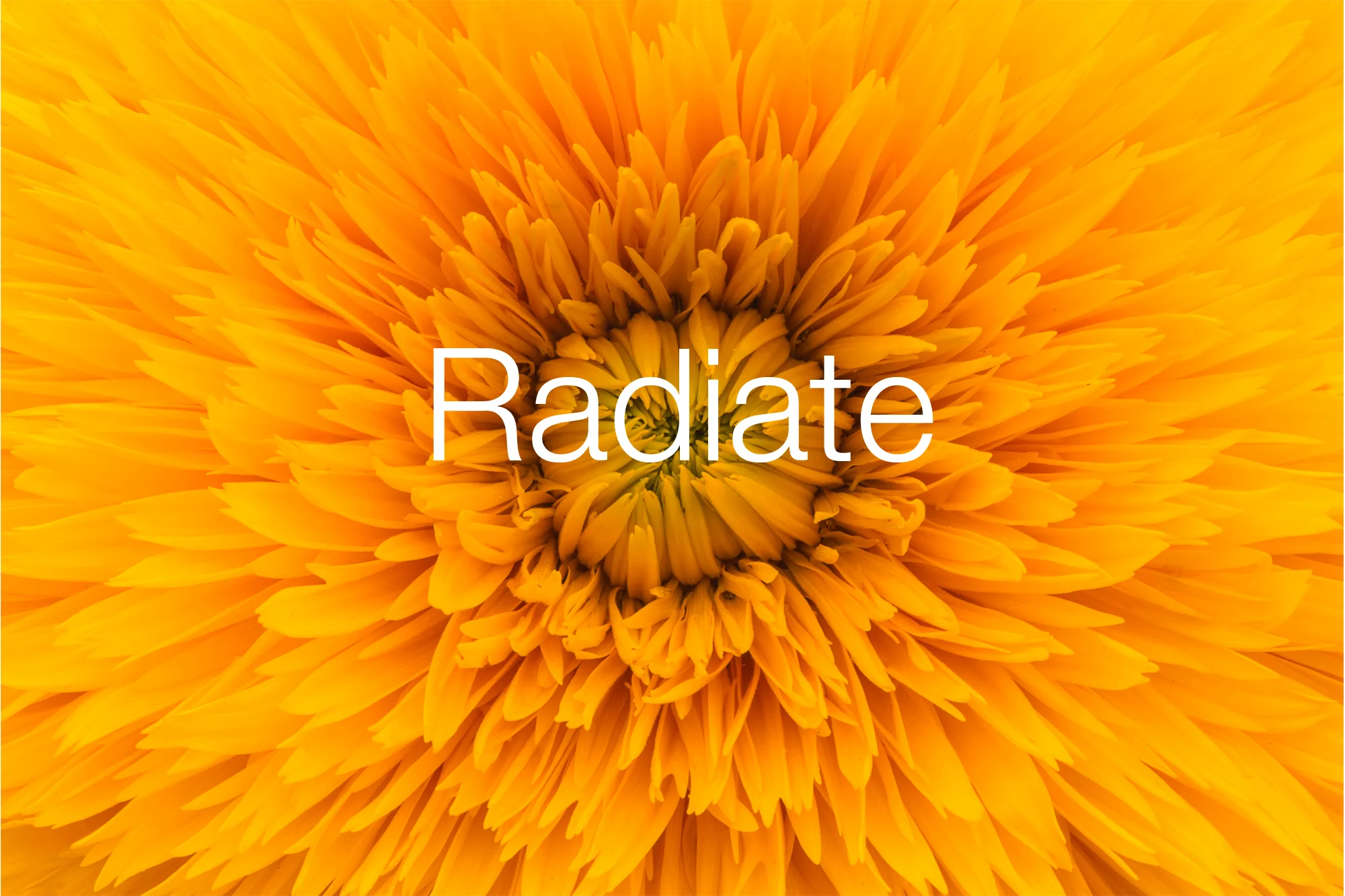 Phoenix-Hearted Woman