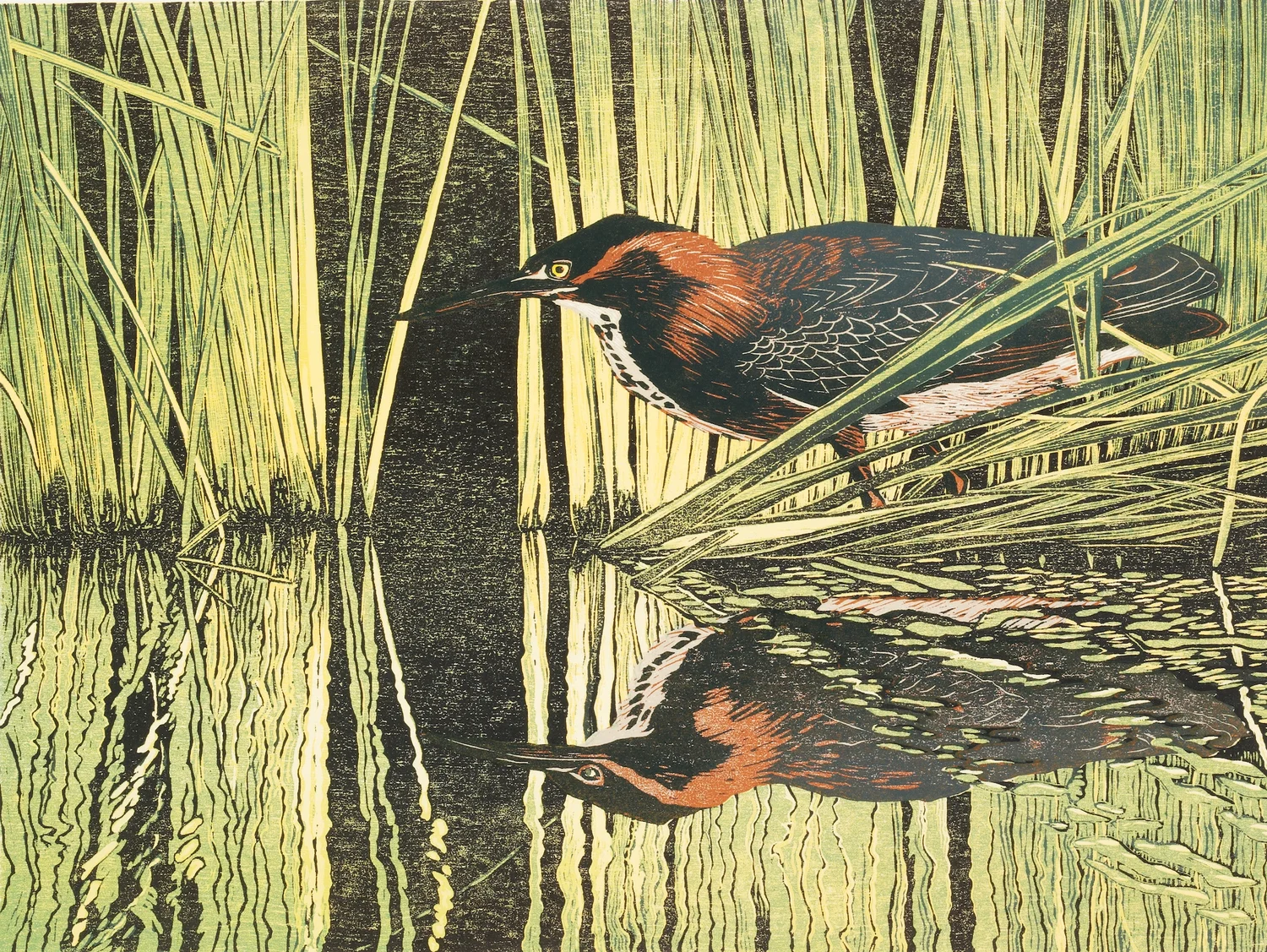 Andrea Rich: An Abundance of Riches — Minnesota Marine Art Museum