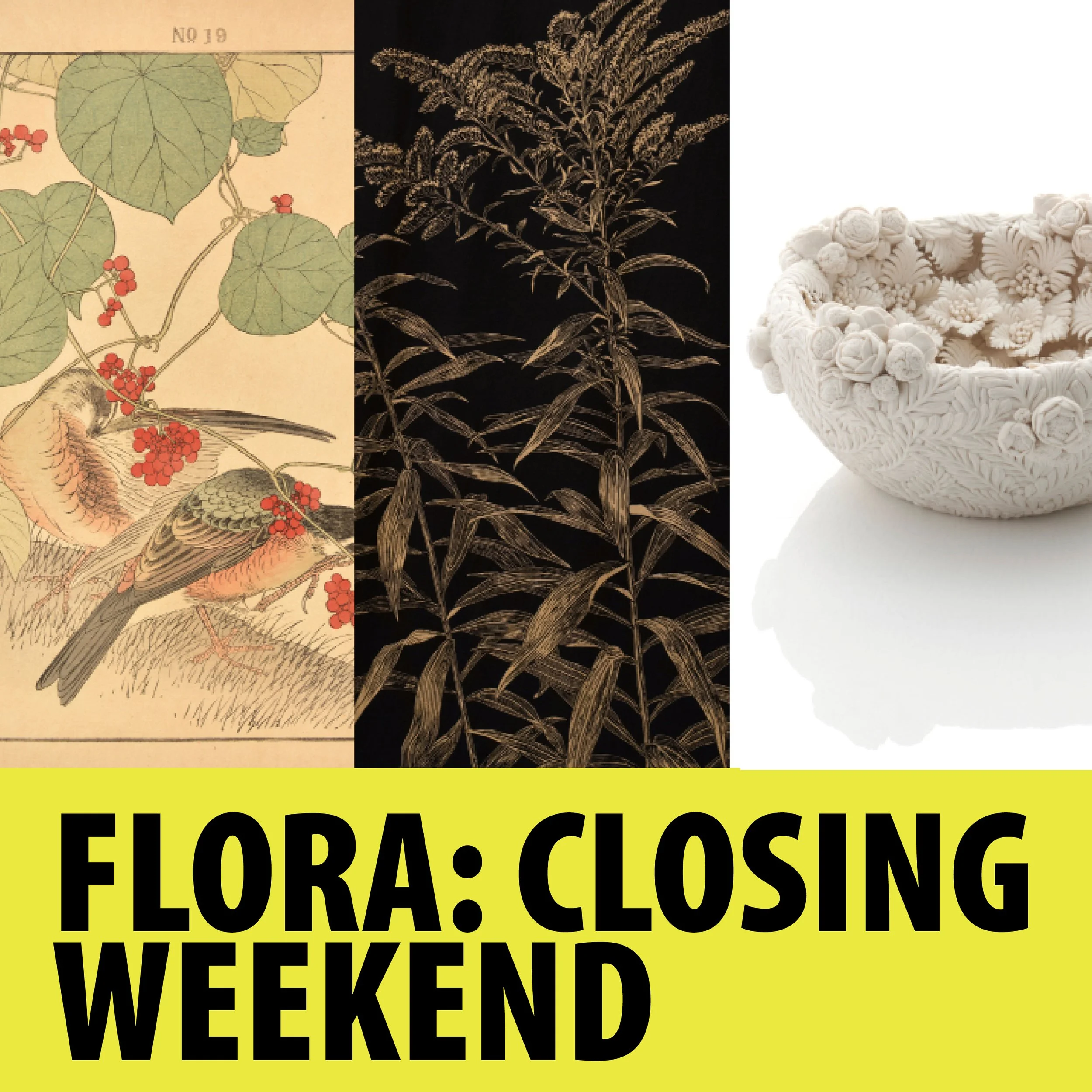 Flora: Hitomi Hosono — Minnesota Marine Art Museum