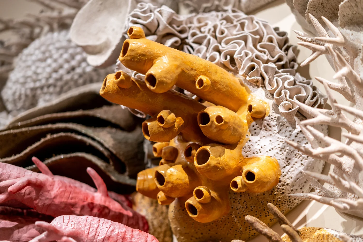 Courtney Mattison: Undercurrent — Minnesota Marine Art Museum