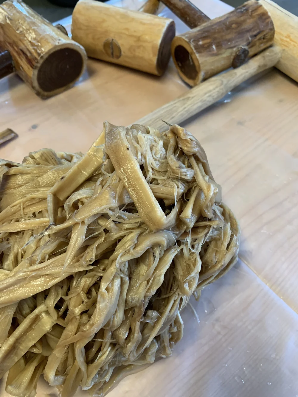 Workshop: Deep-Mapping the Mississippi Through Papermaking and Place ...