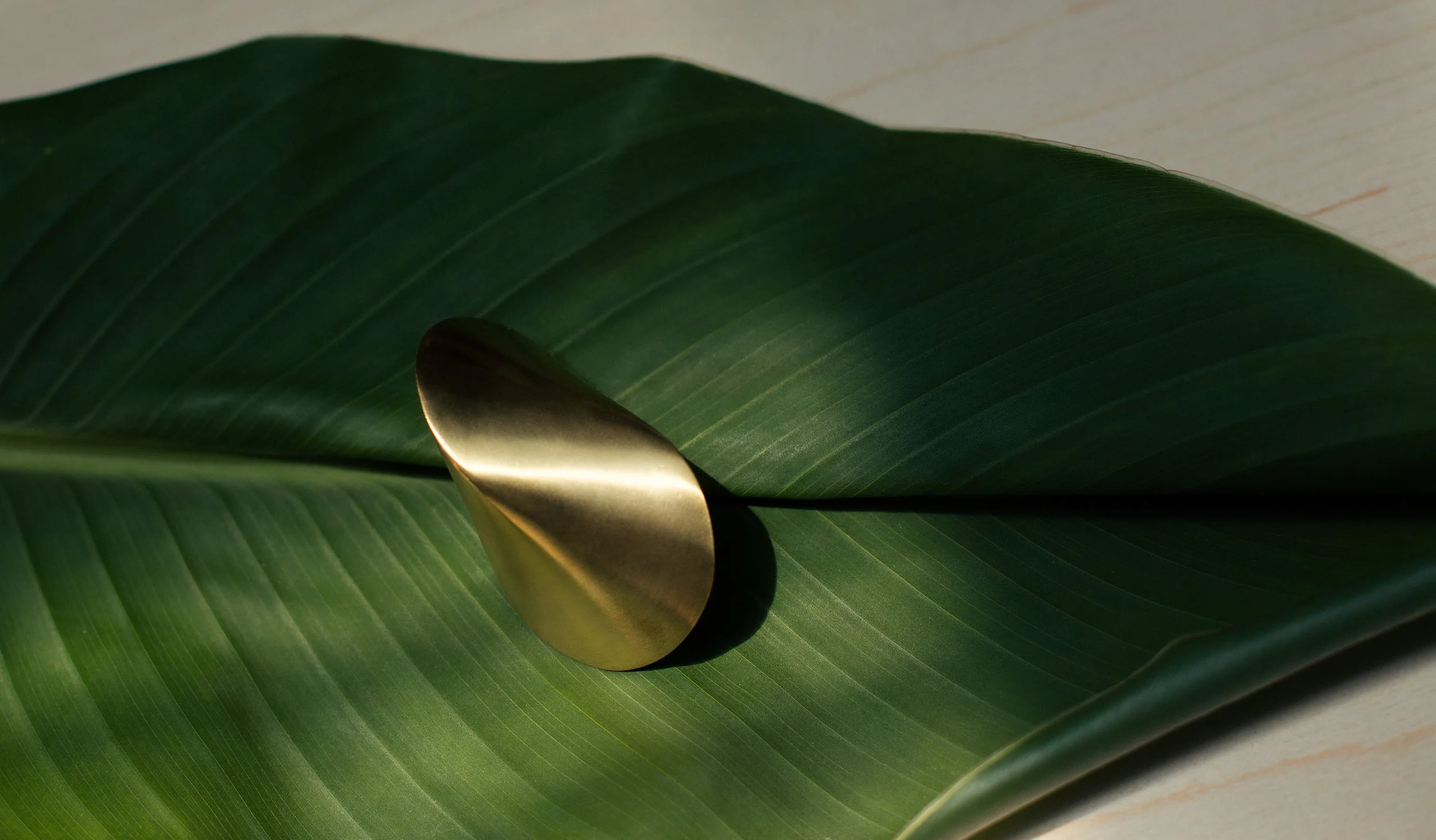 Matter Collection: the Oloid, the Sphericon, the Solid of Constant ...