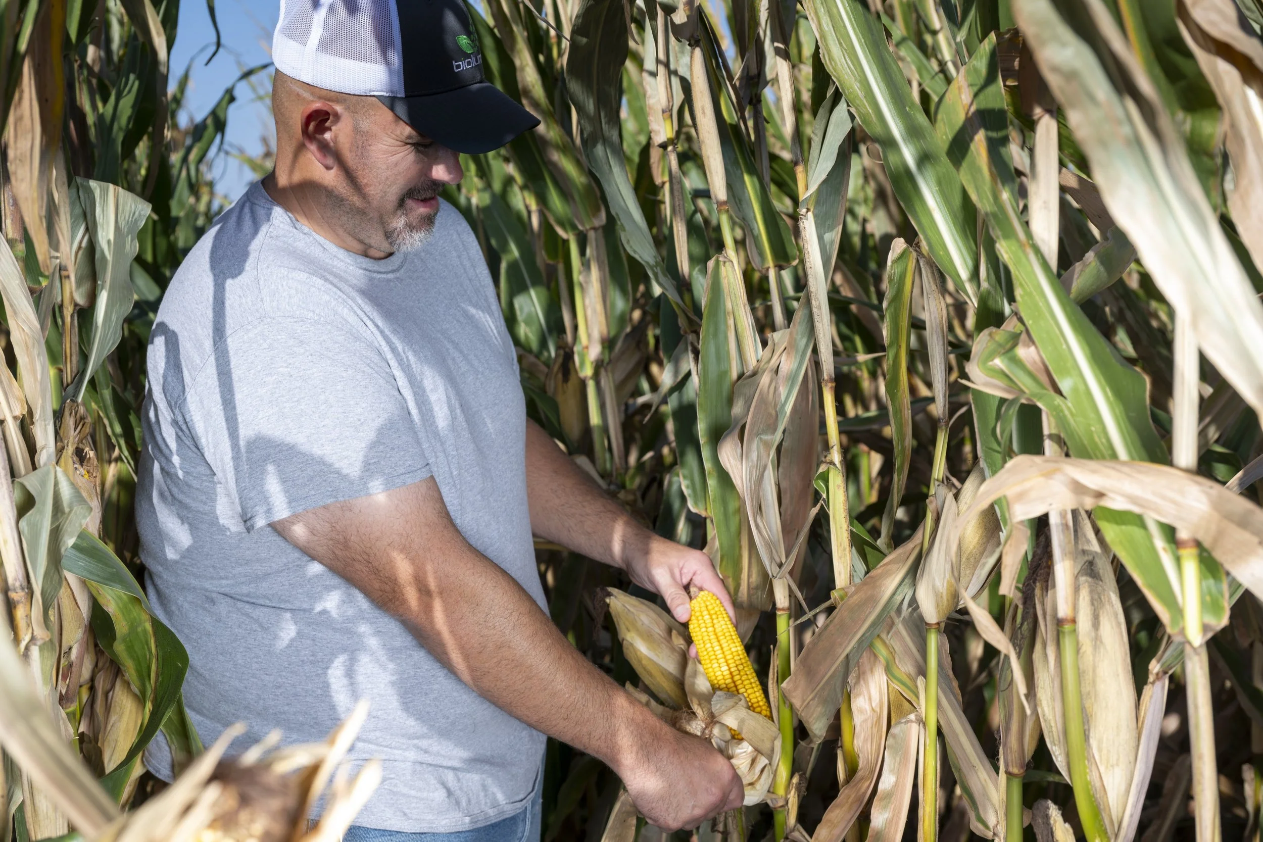 BioLumic Expands Light-Activated Seed Trait Platform to South America ...