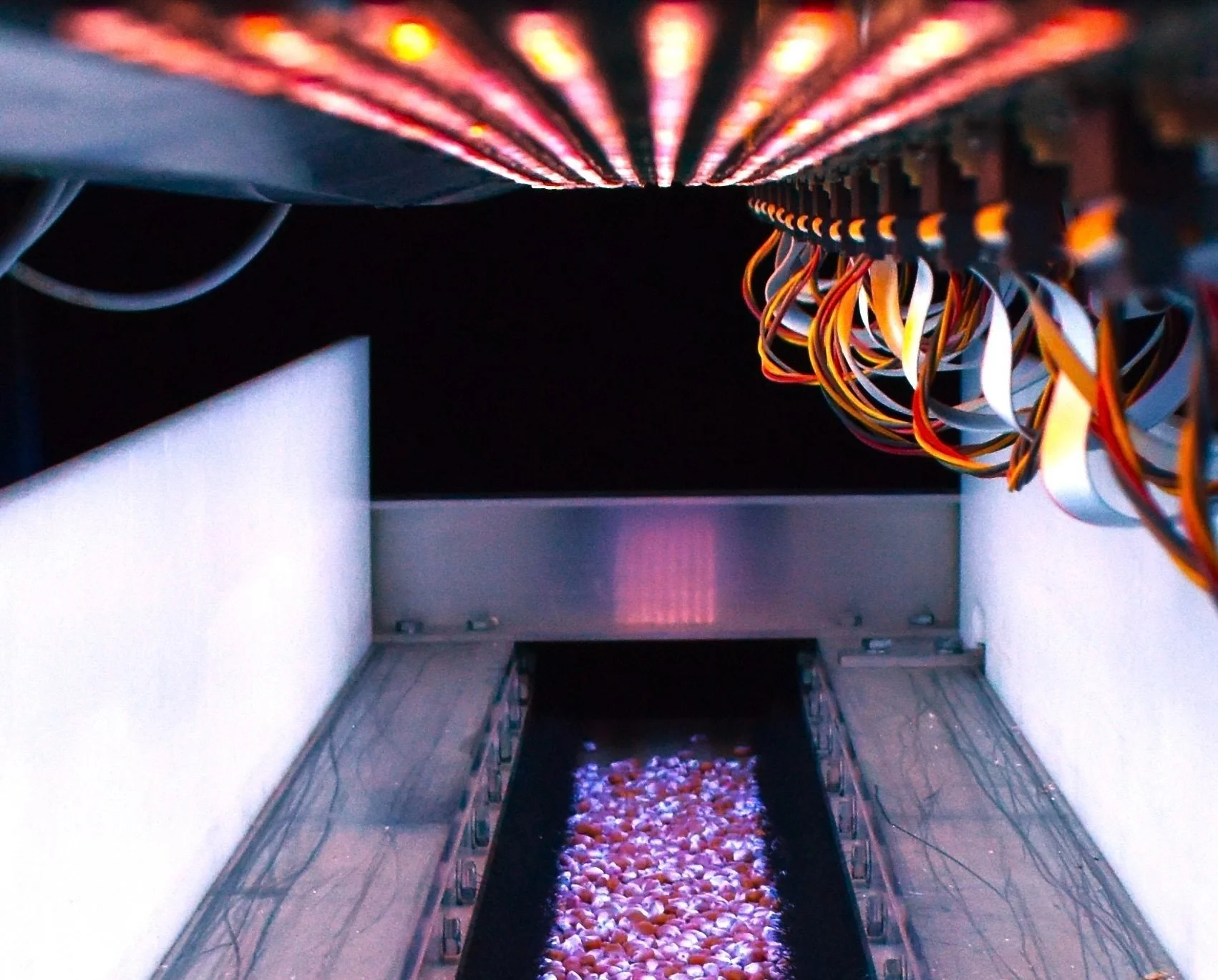 ROW CROPS — BIOLUMIC