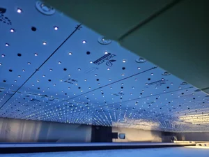 BioLumic Launches World’s First Commercial Light-Activated Seed Traits ...