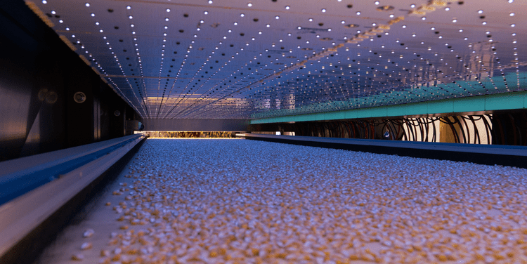 BioLumic Oversubscribed Funding Round Accelerates a New Category of Non ...