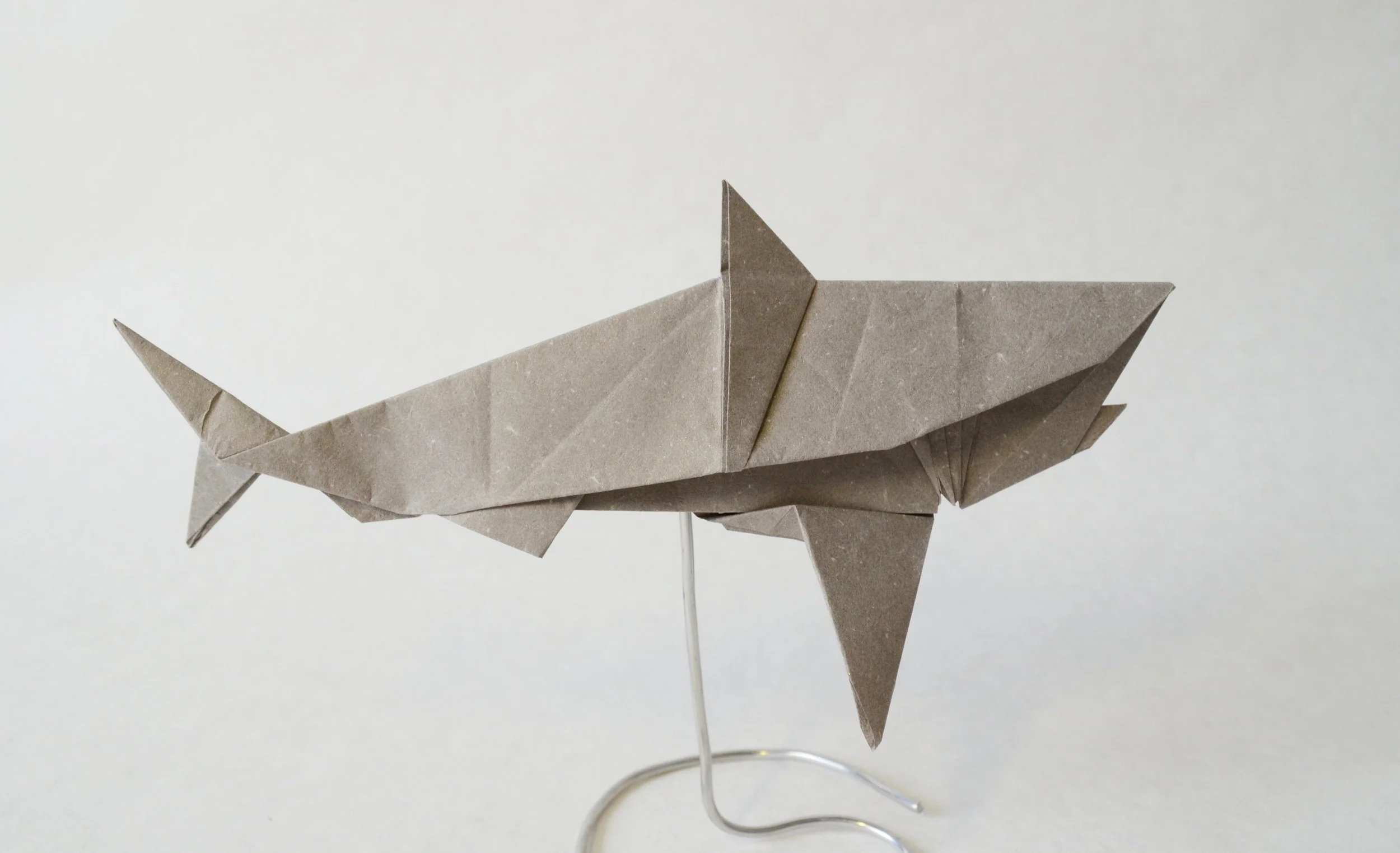Great White Shark — Origami