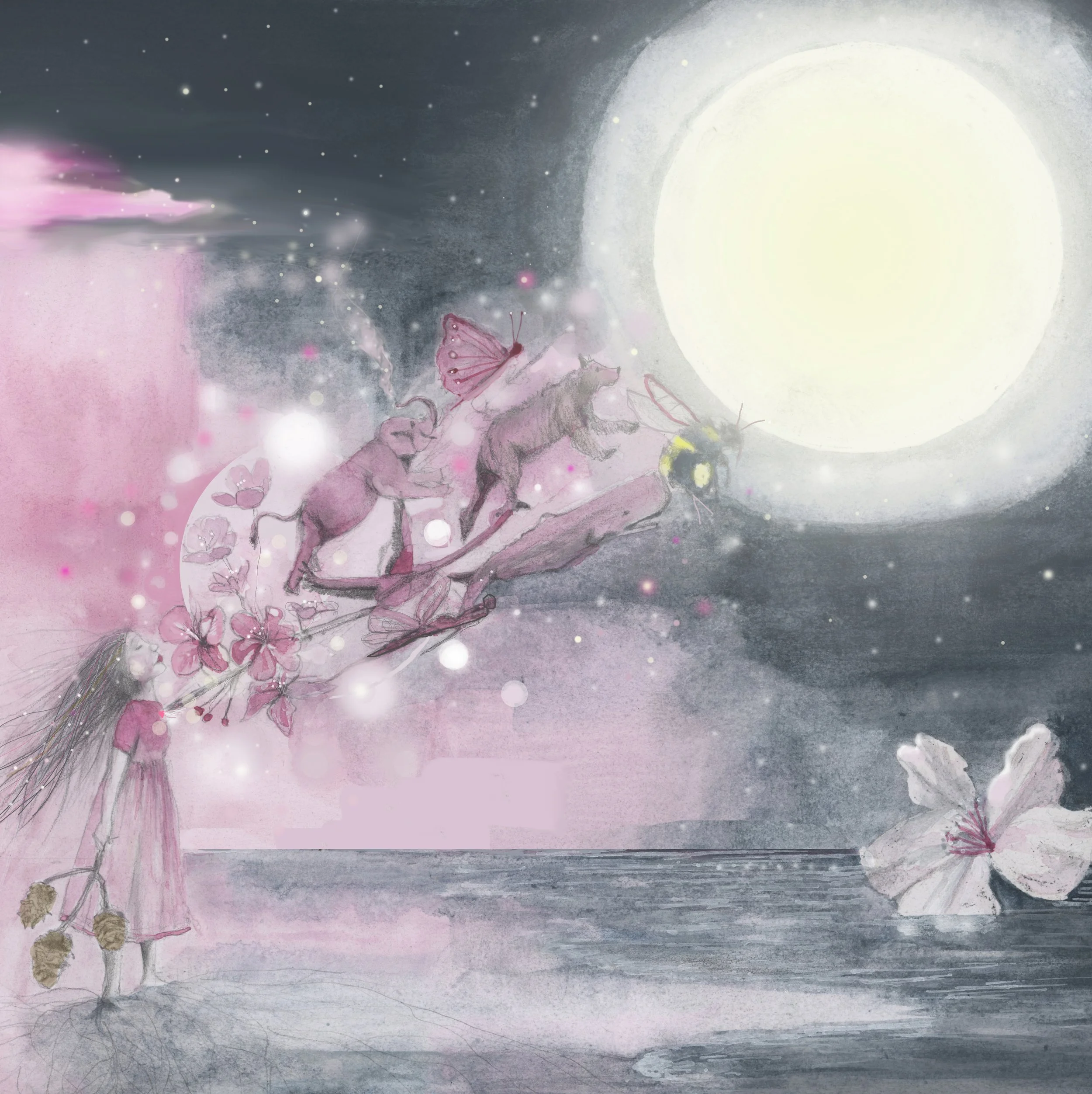 Full Moon illustrations — Enagh Farrell