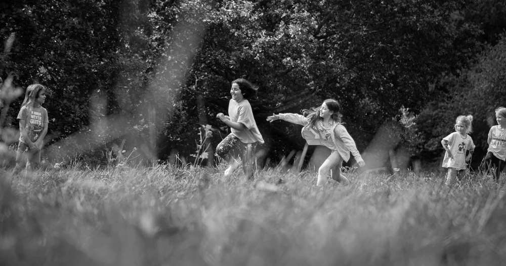 About us — Project Rewild