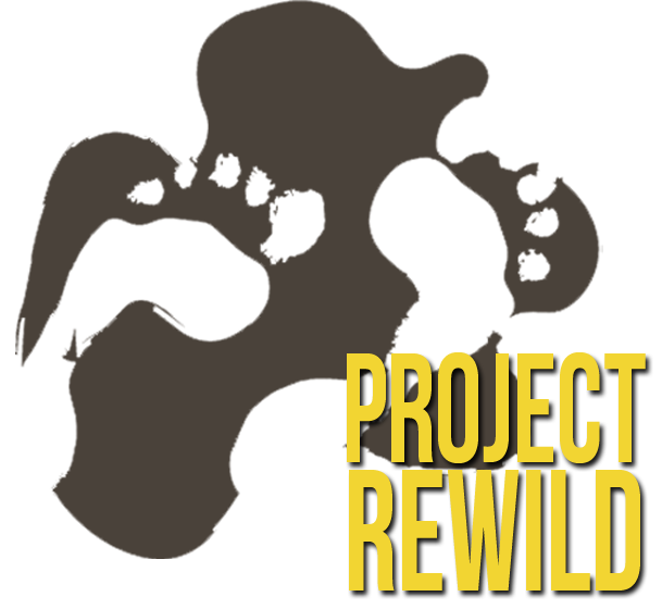 Project Rewild