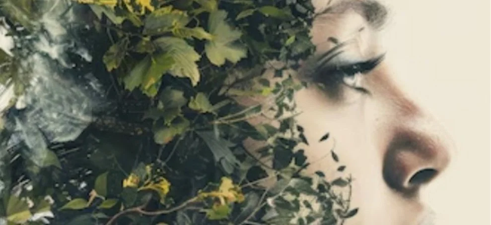 Earth Weavers — Project Rewild