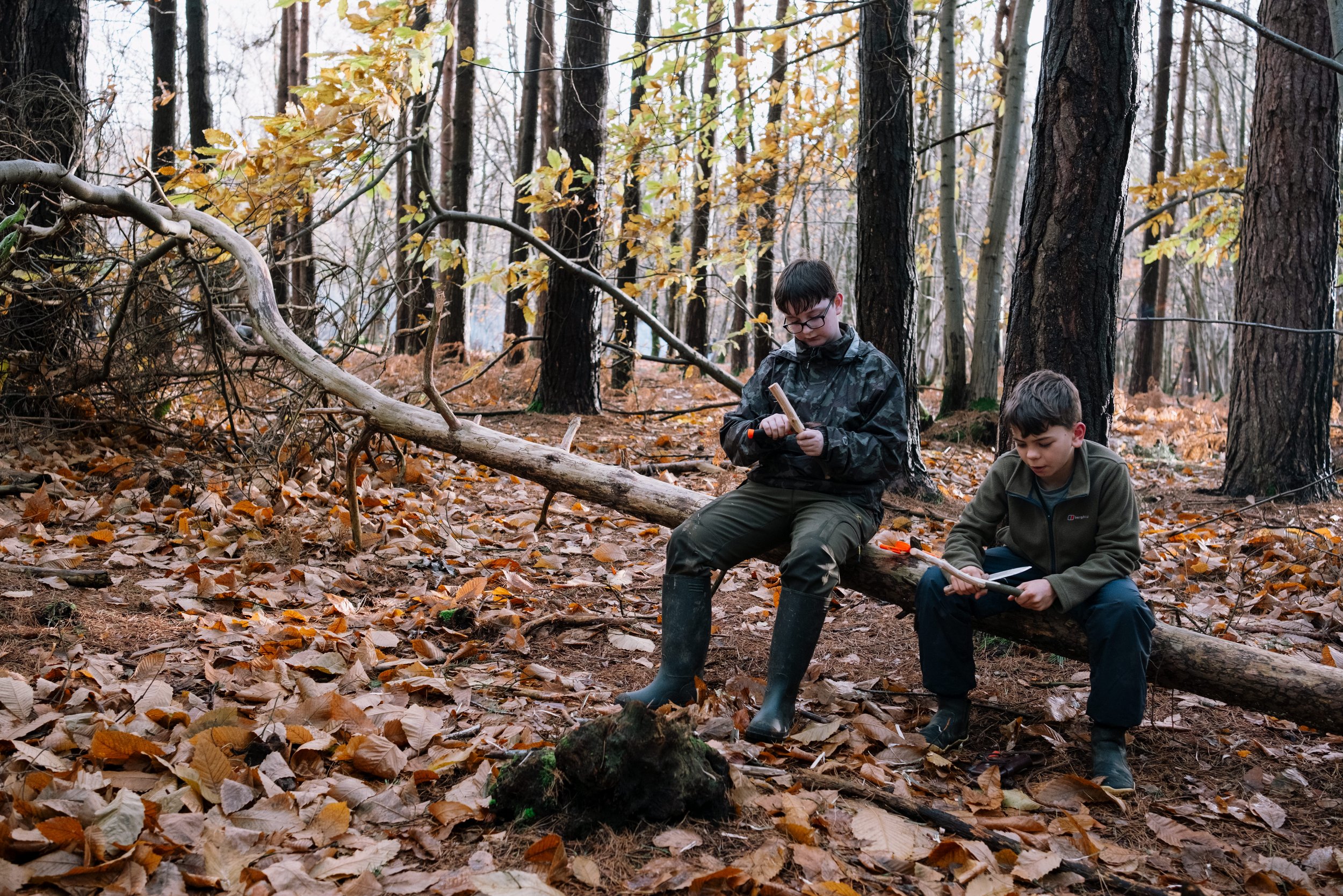 Rewild Woodland School — Project Rewild