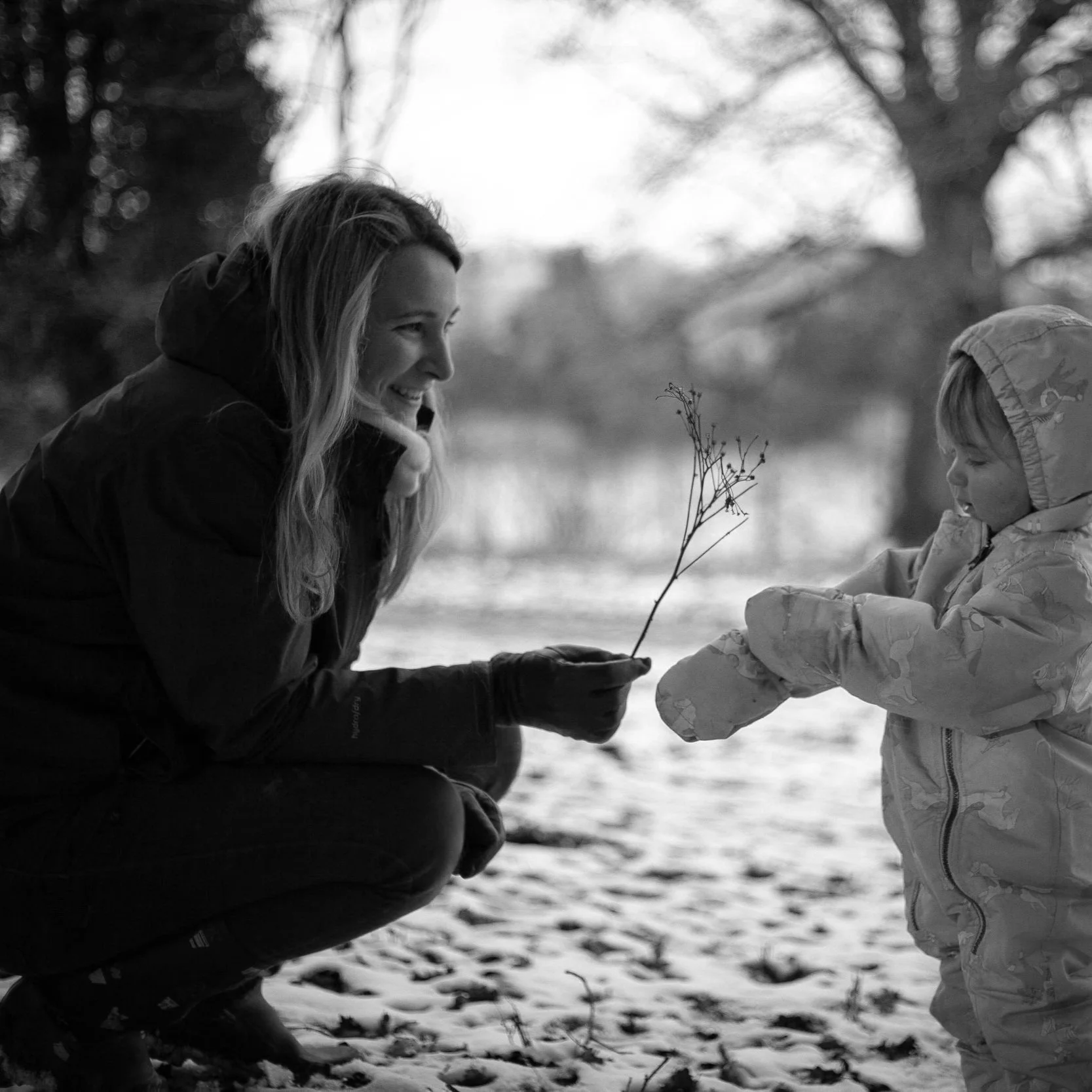 About us — Project Rewild