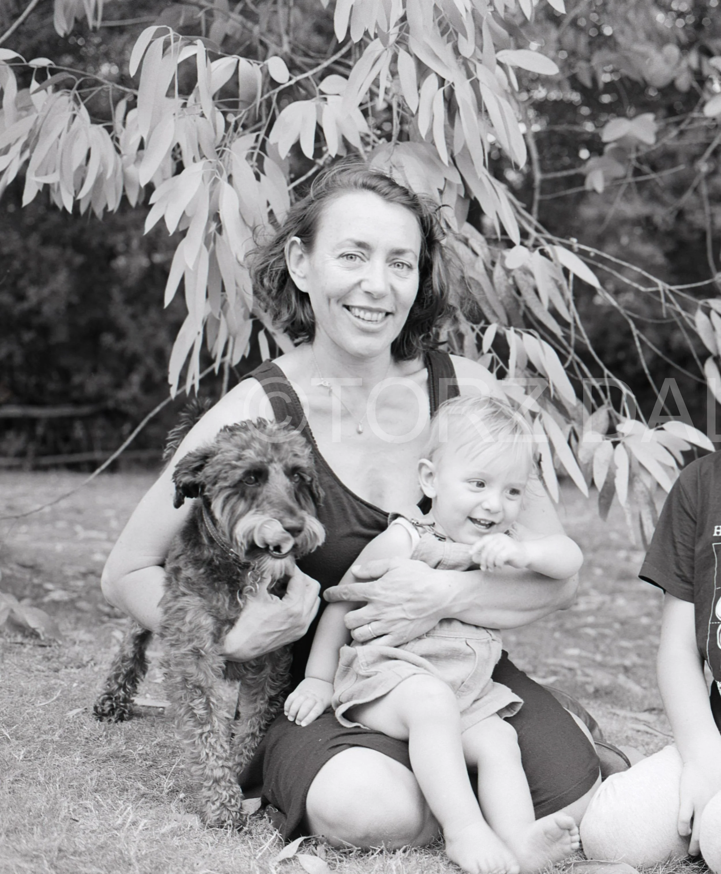 Aboutus — Project Rewild